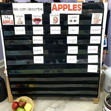 Preschool Apple Theme Circle Time and Activities