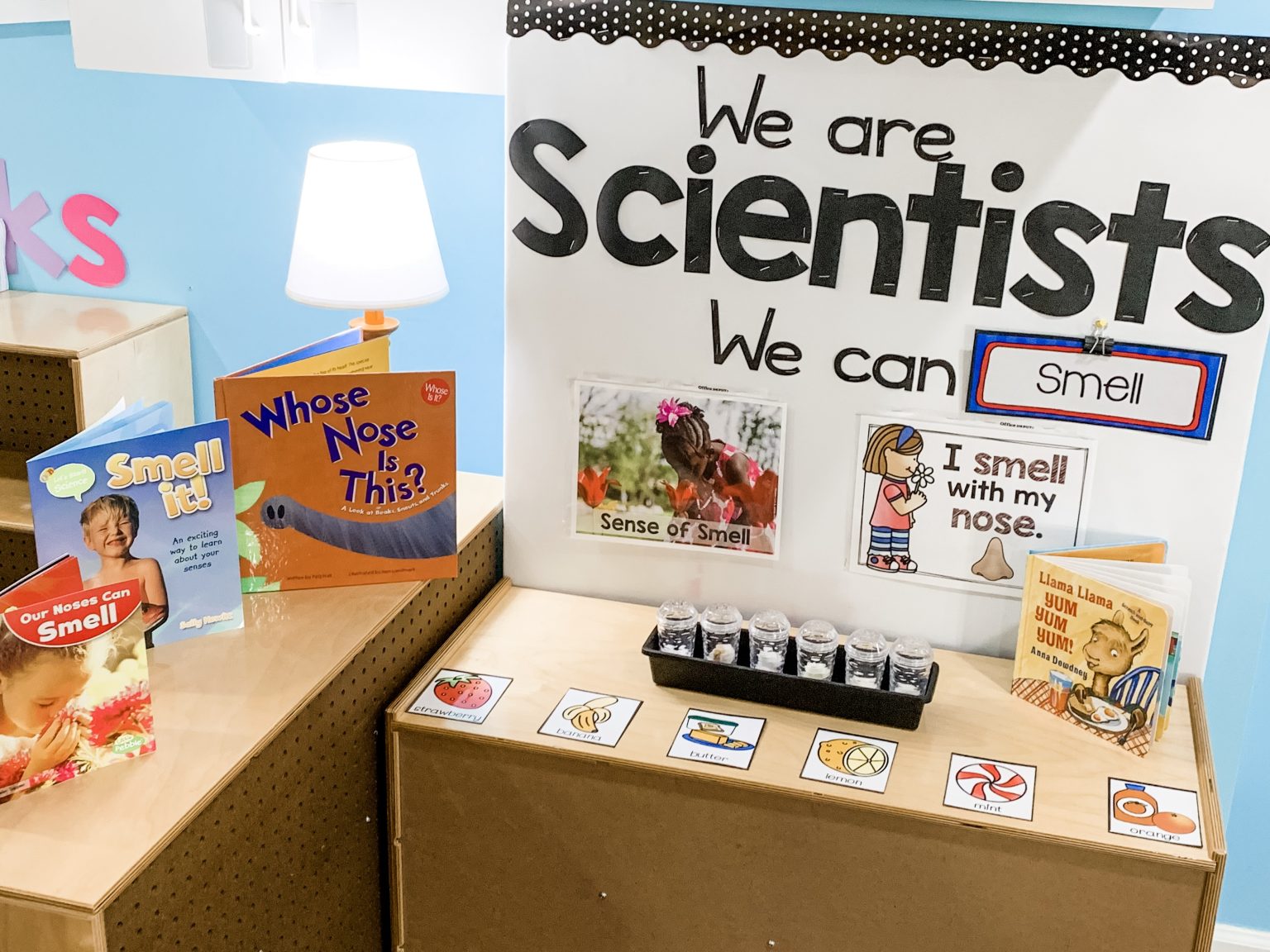 5 Senses Activities for Preschoolers - Science Centers