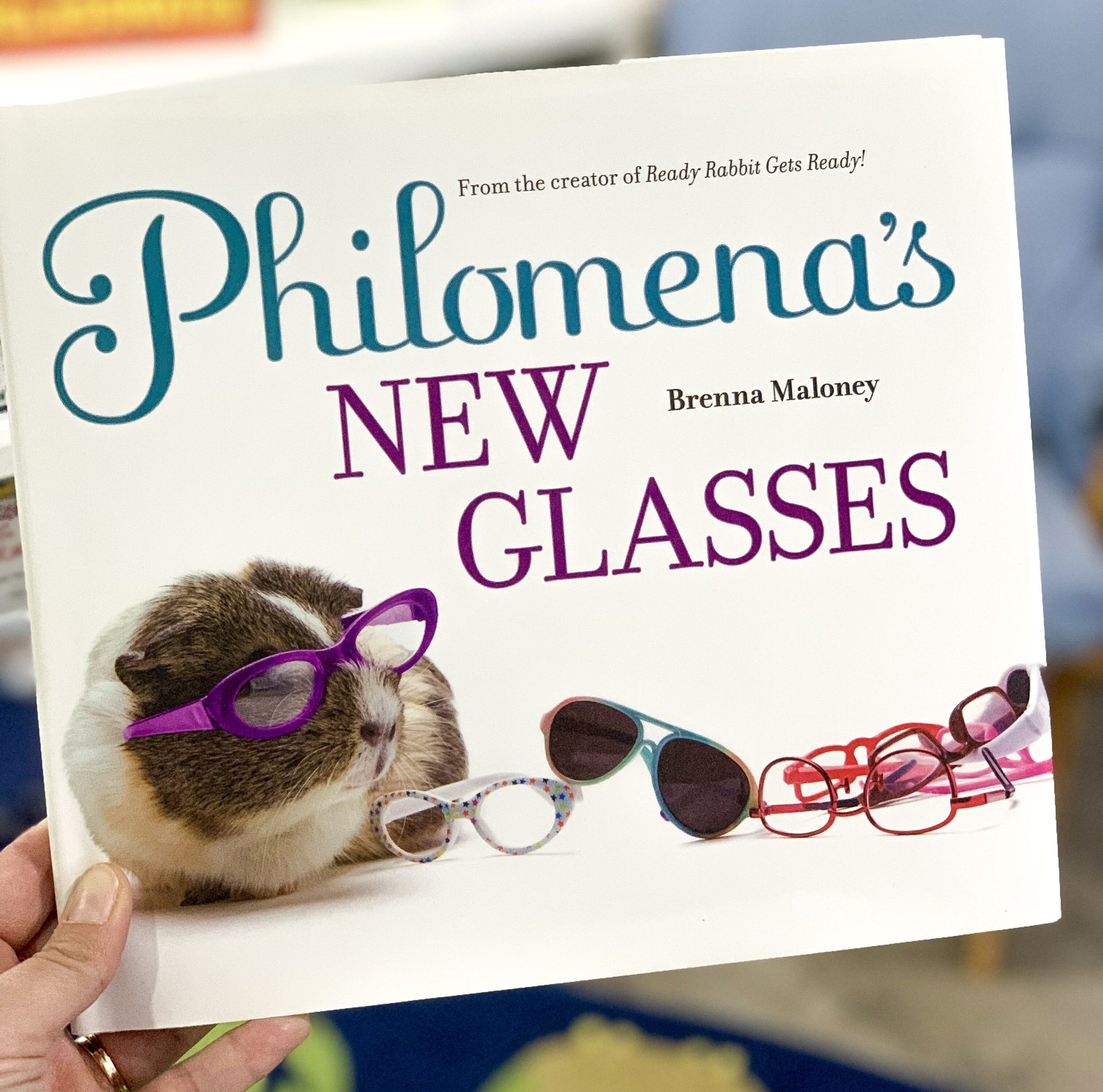 The Best Sense of Sight Books for Preschoolers