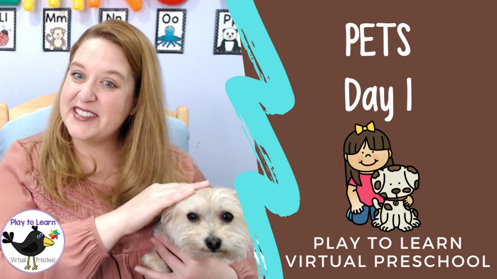 2020 VP Summer Semester Episode 4.1 - Play to Learn Preschool