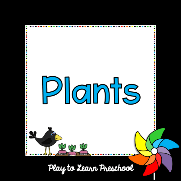 Thematic Units - Play to Learn Preschool