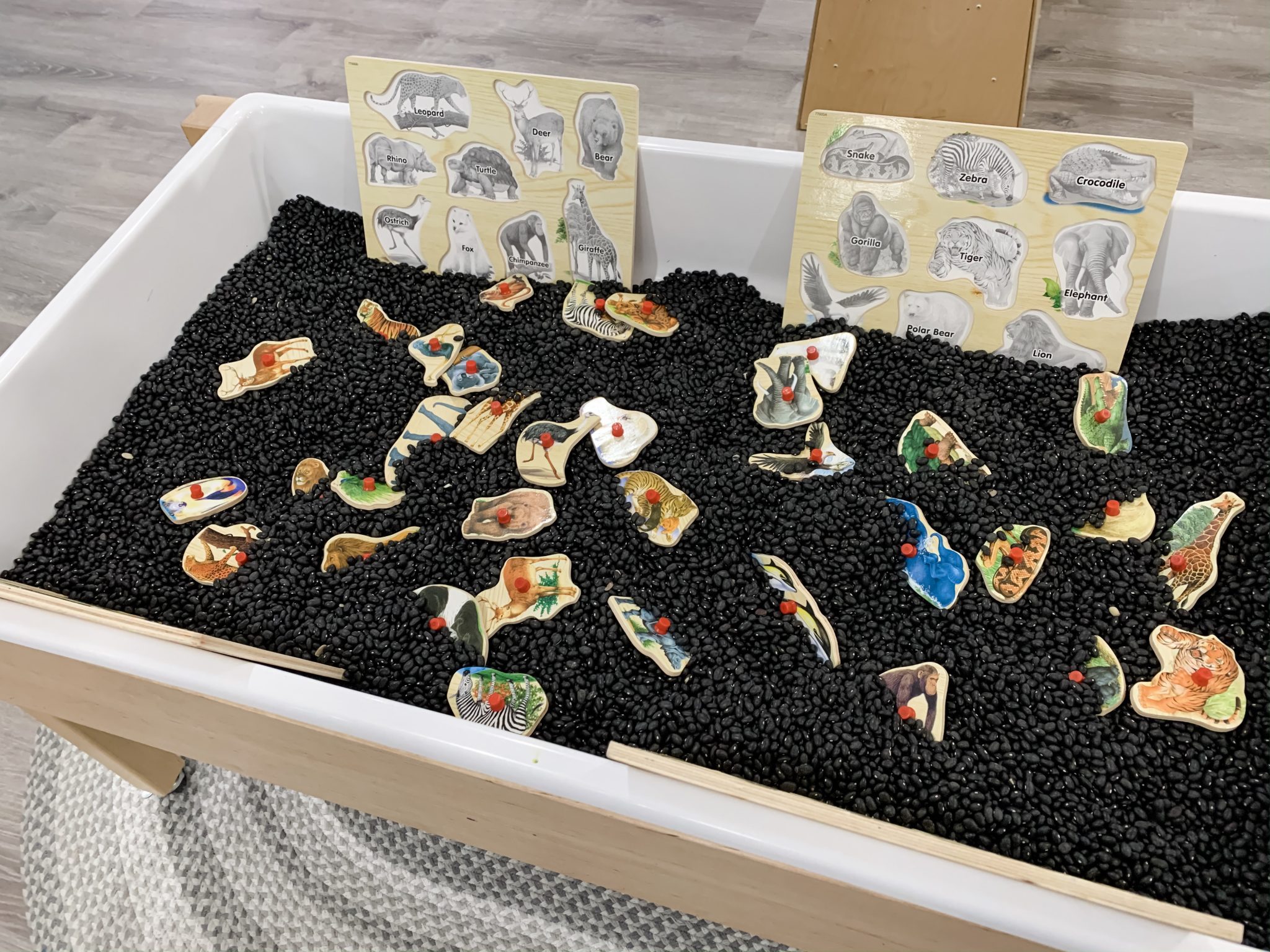 Black Beans Sensory Play