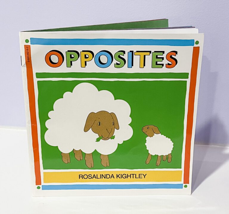 The Best Opposites Books for Preschool - Play to Learn Preschool