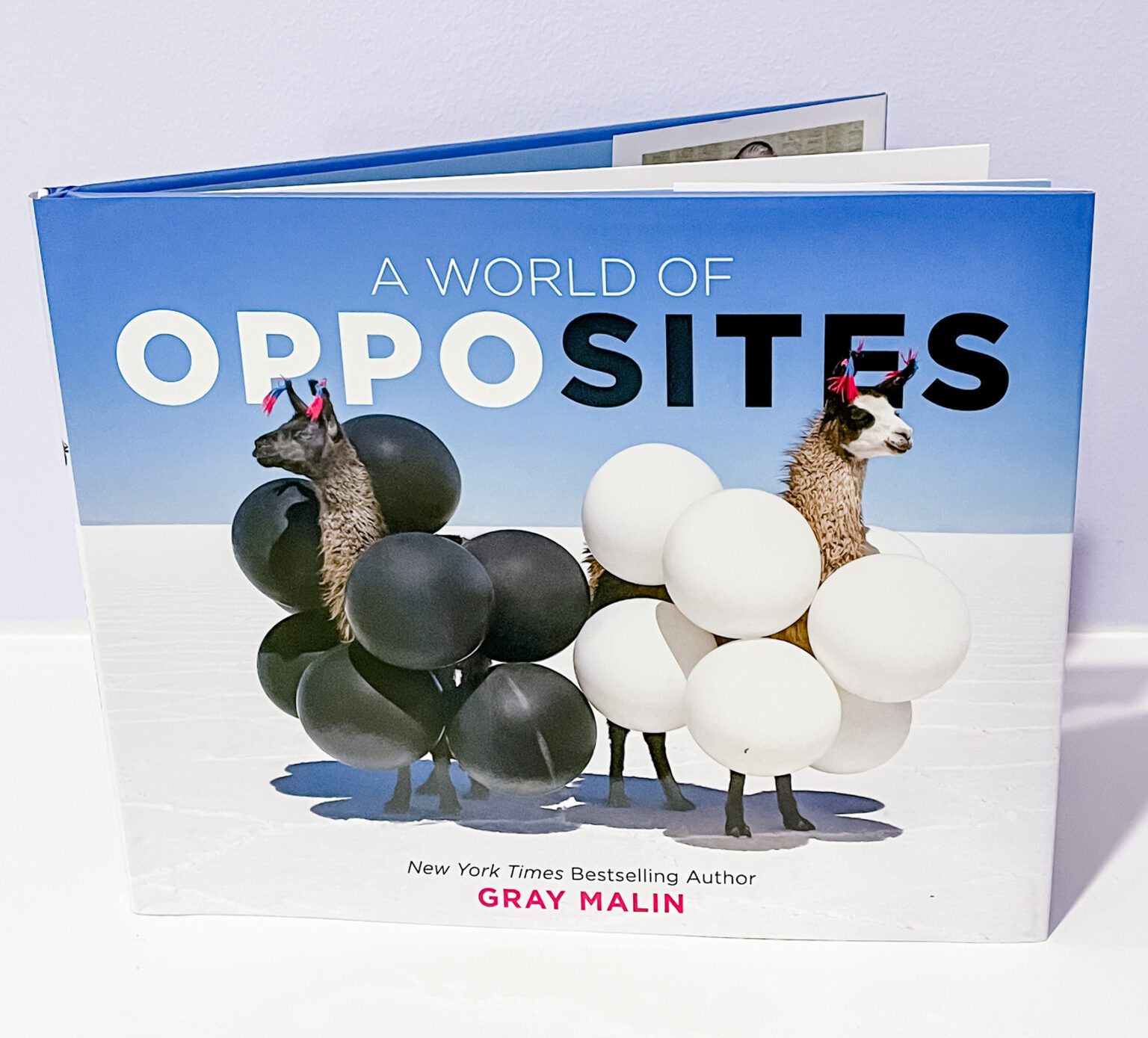 The Best Opposites Books for Preschool - Play to Learn Preschool