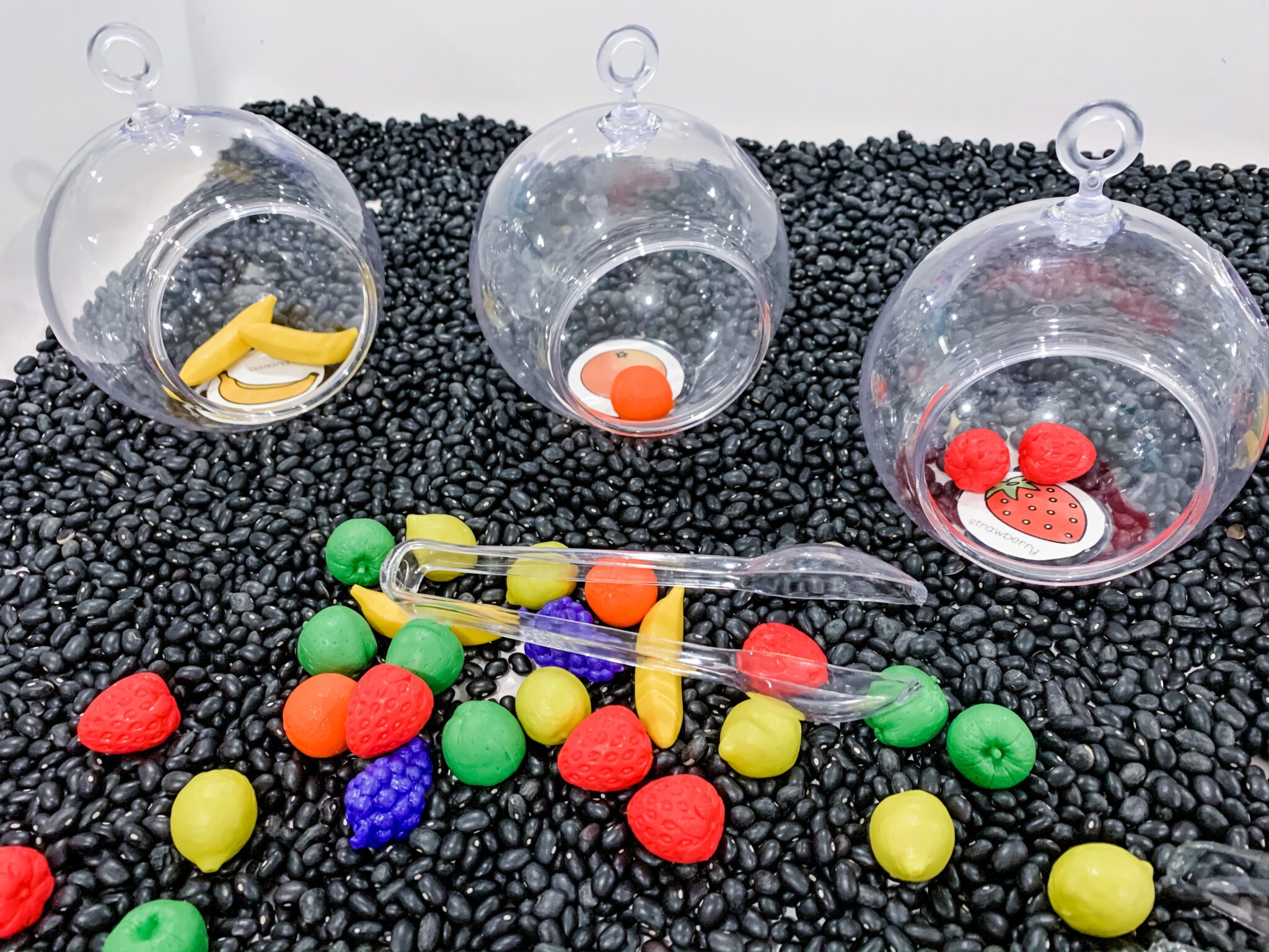 beans-and-food-sorting-1 - Play to Learn Preschool