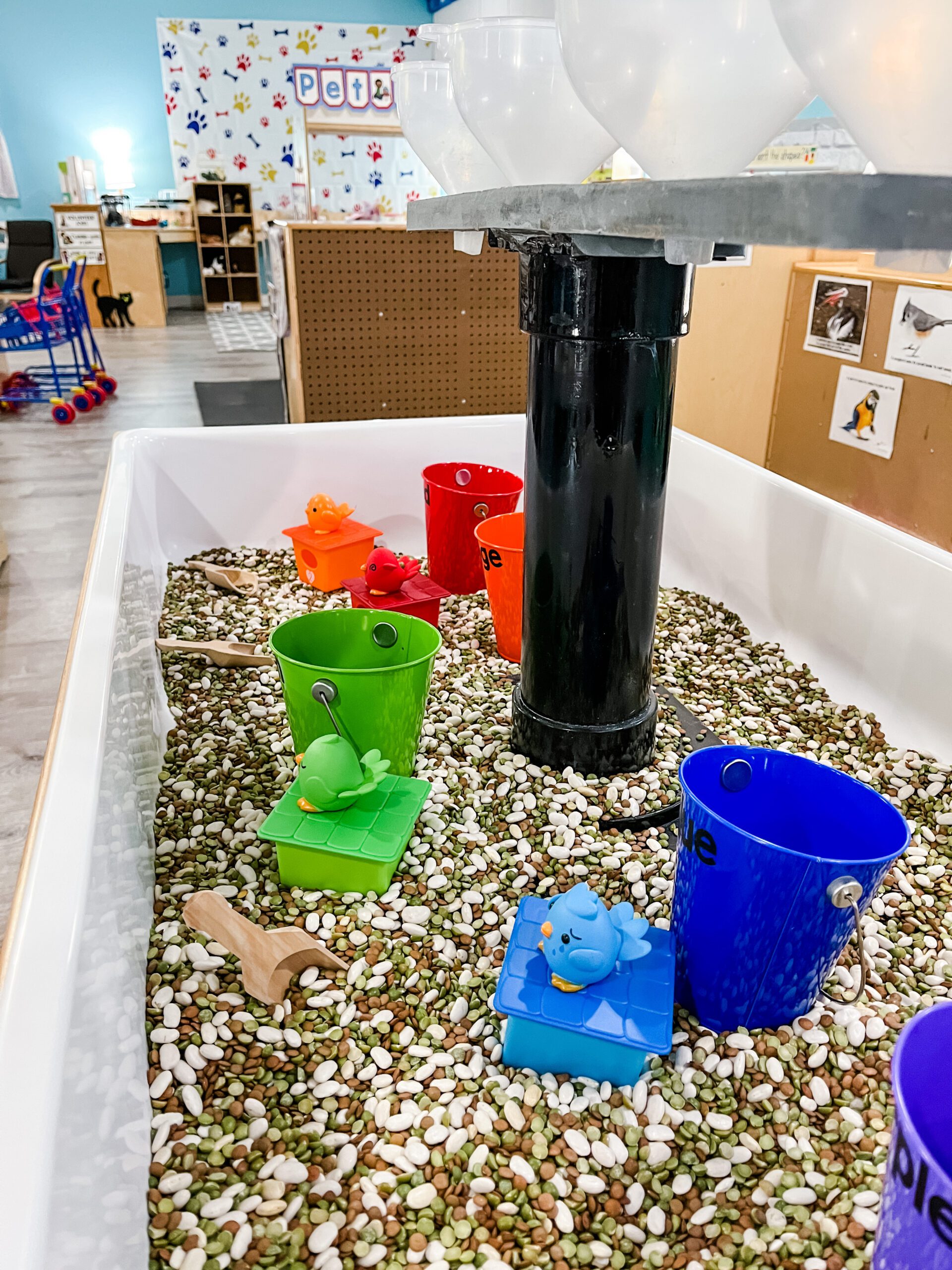 3 Bird Themed Sensory Bins for Preschool