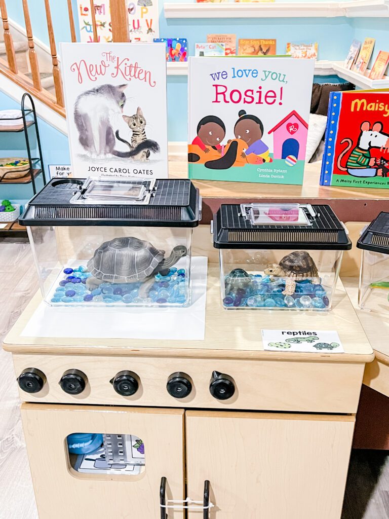 Pet Shop Dramatic Play - Play to Learn Preschool