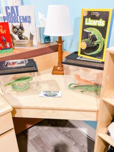 Pet Shop Dramatic Play - Play to Learn Preschool