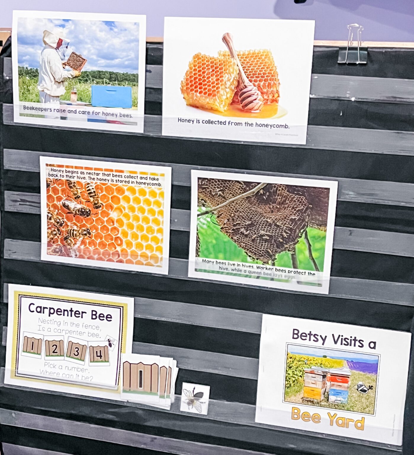 Bee Activities for Preschoolers - Play to Learn Preschool