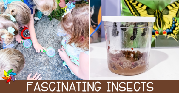 Hands-On Insect Activities for Preschoolers: Learning Through Play ...