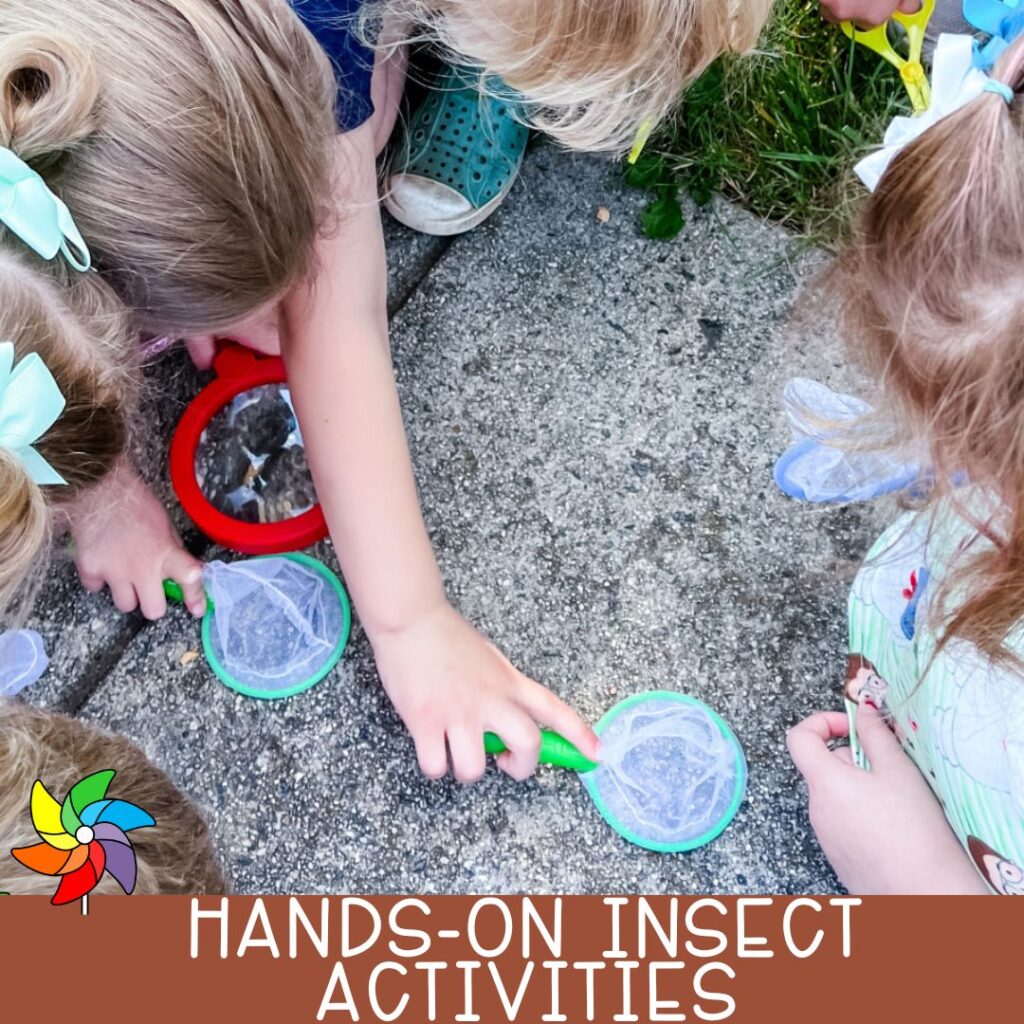 Insects Archives - Play to Learn Preschool