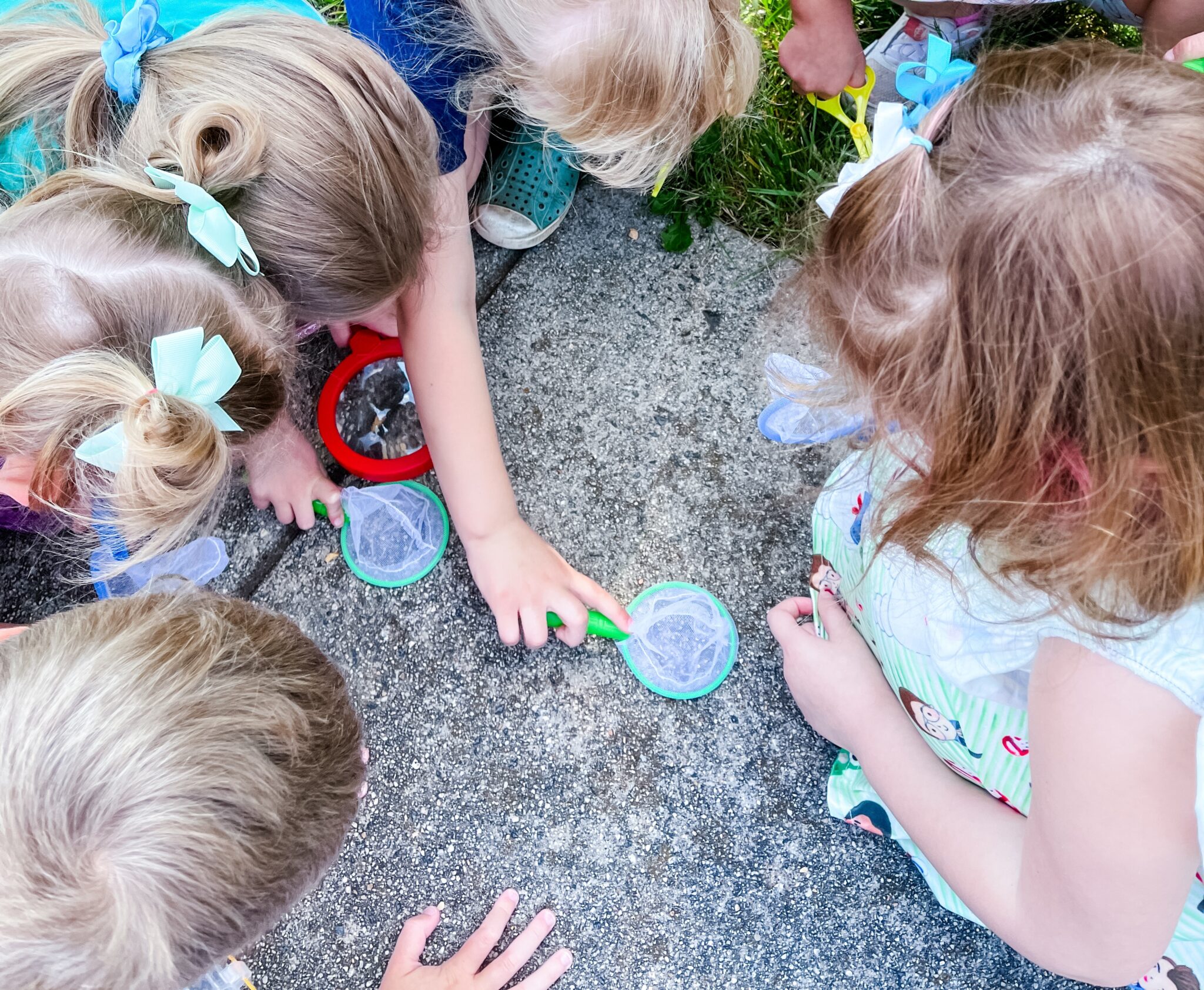 Hands-On Insect Activities for Preschoolers: Learning Through Play ...