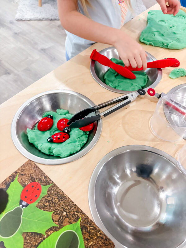 Ladybug Activities for Preschool Learning and Play - Play to Learn ...