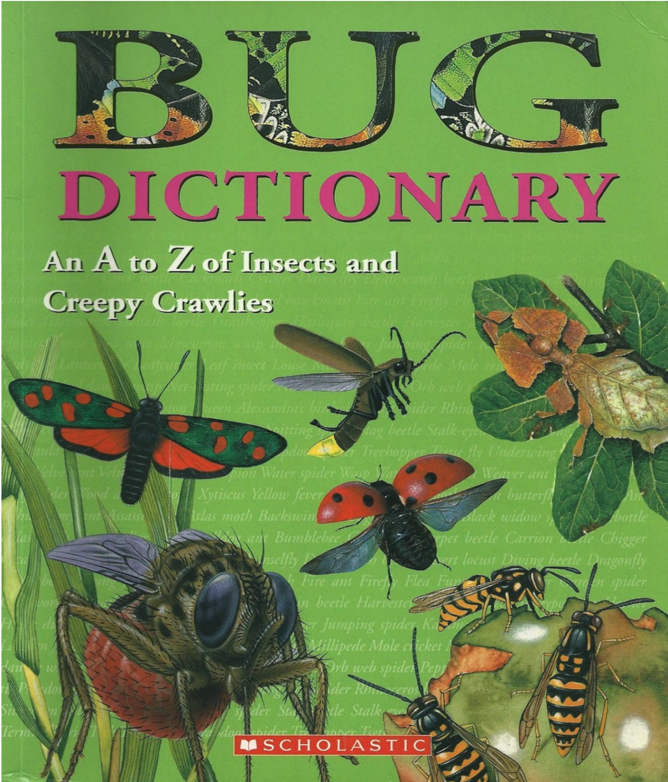 Best Bug Books for Preschoolers - Play to Learn Preschool