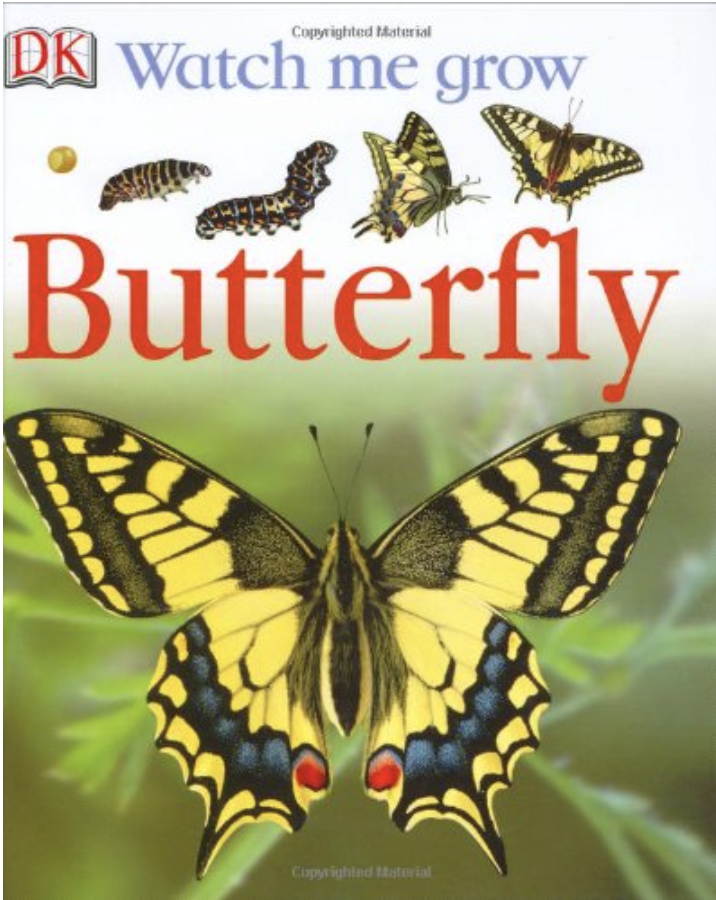 Butterfly Book for Preschoolers - Play to Learn Preschool