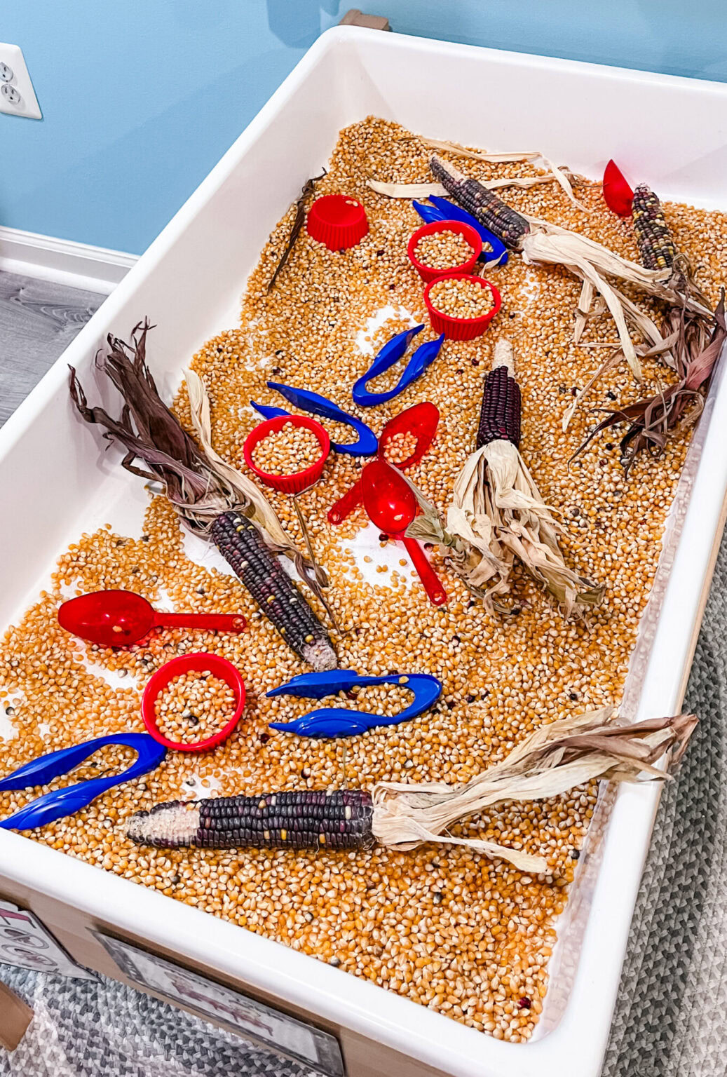 20 Engaging Sensory Table Ideas for the Preschool Classroom - Play to ...