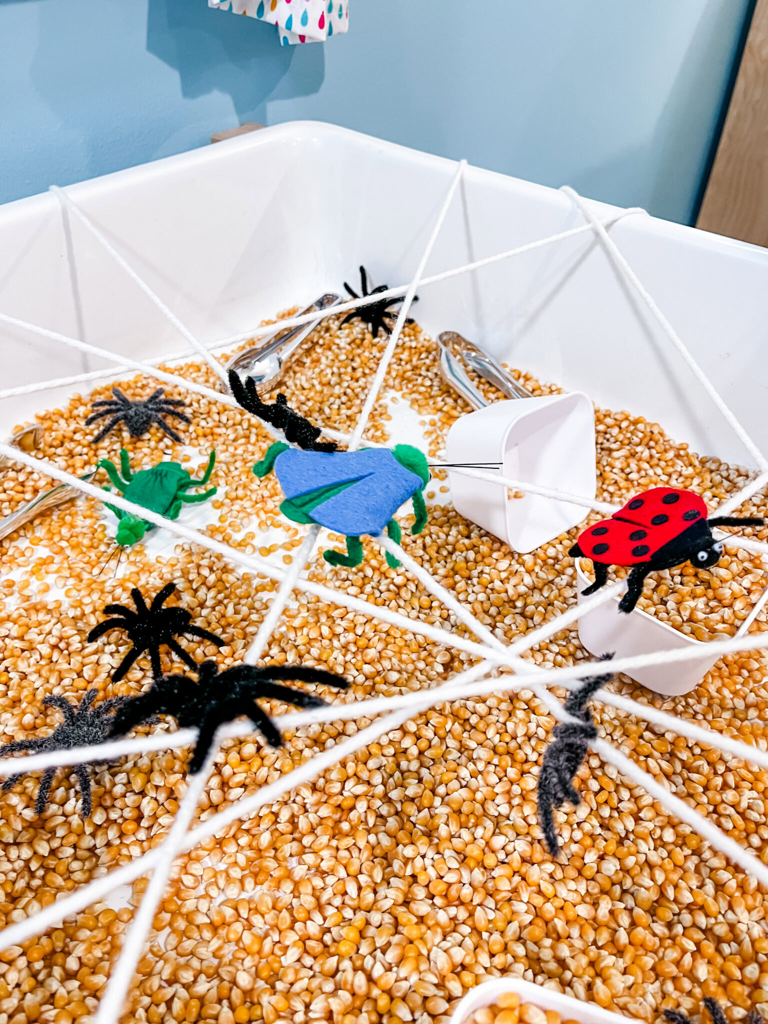 20 Engaging Sensory Table Ideas for the Preschool Classroom - Play to ...