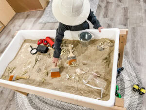 Top 5 Preschool Themes for June - Play to Learn Preschool