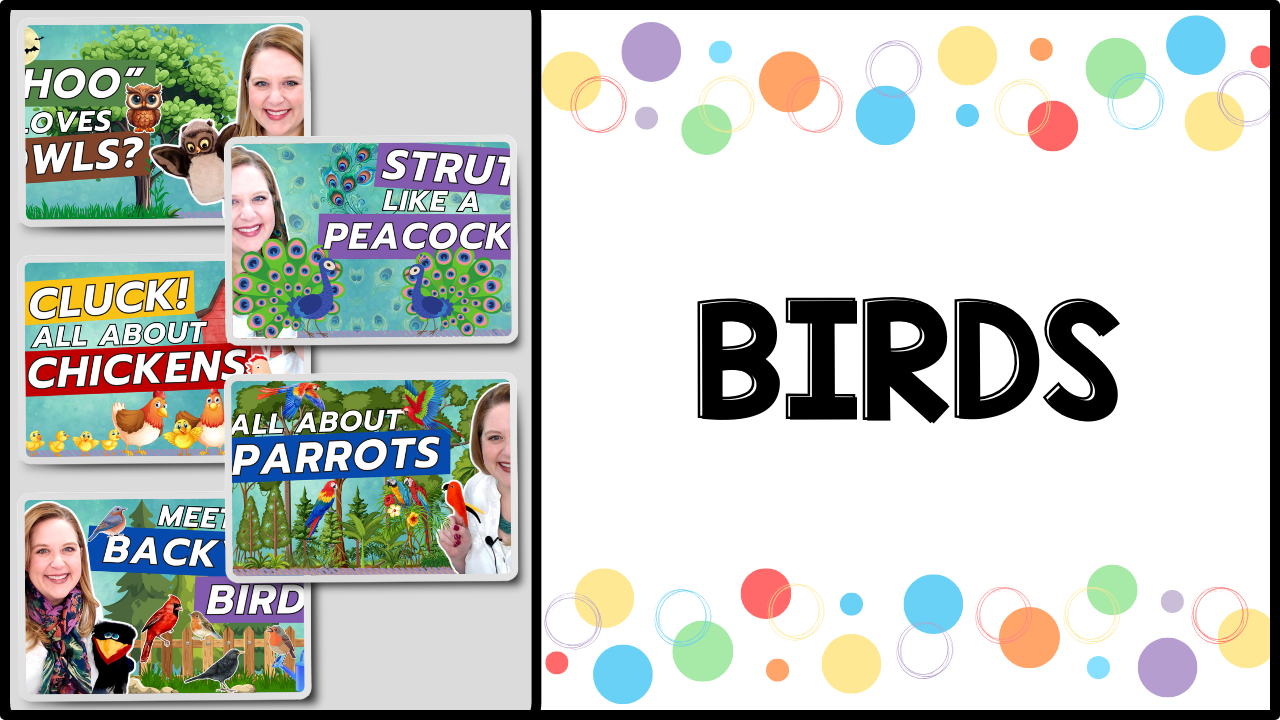 Preschool BEAUTIFUL BIRDS Preschool Lessons - Play to Learn Preschool