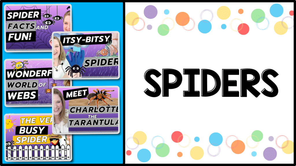 Preschool SPIDERS Preschool Lessons (2) - Play to Learn Preschool