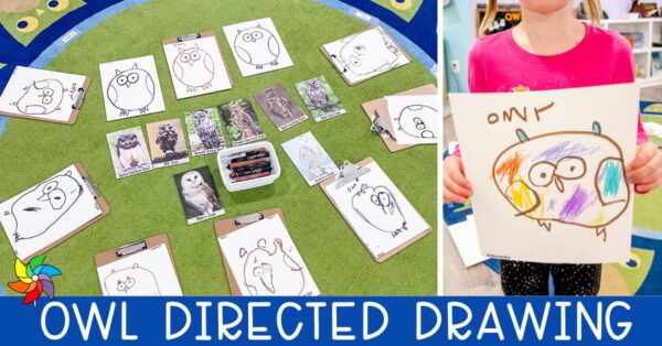 Owl Directed Drawing for Preschoolers - Play to Learn Preschool