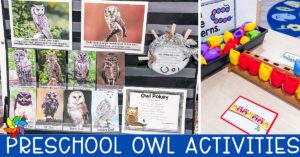 Preschool Owl Activities Students Will Love - Play to Learn Preschool