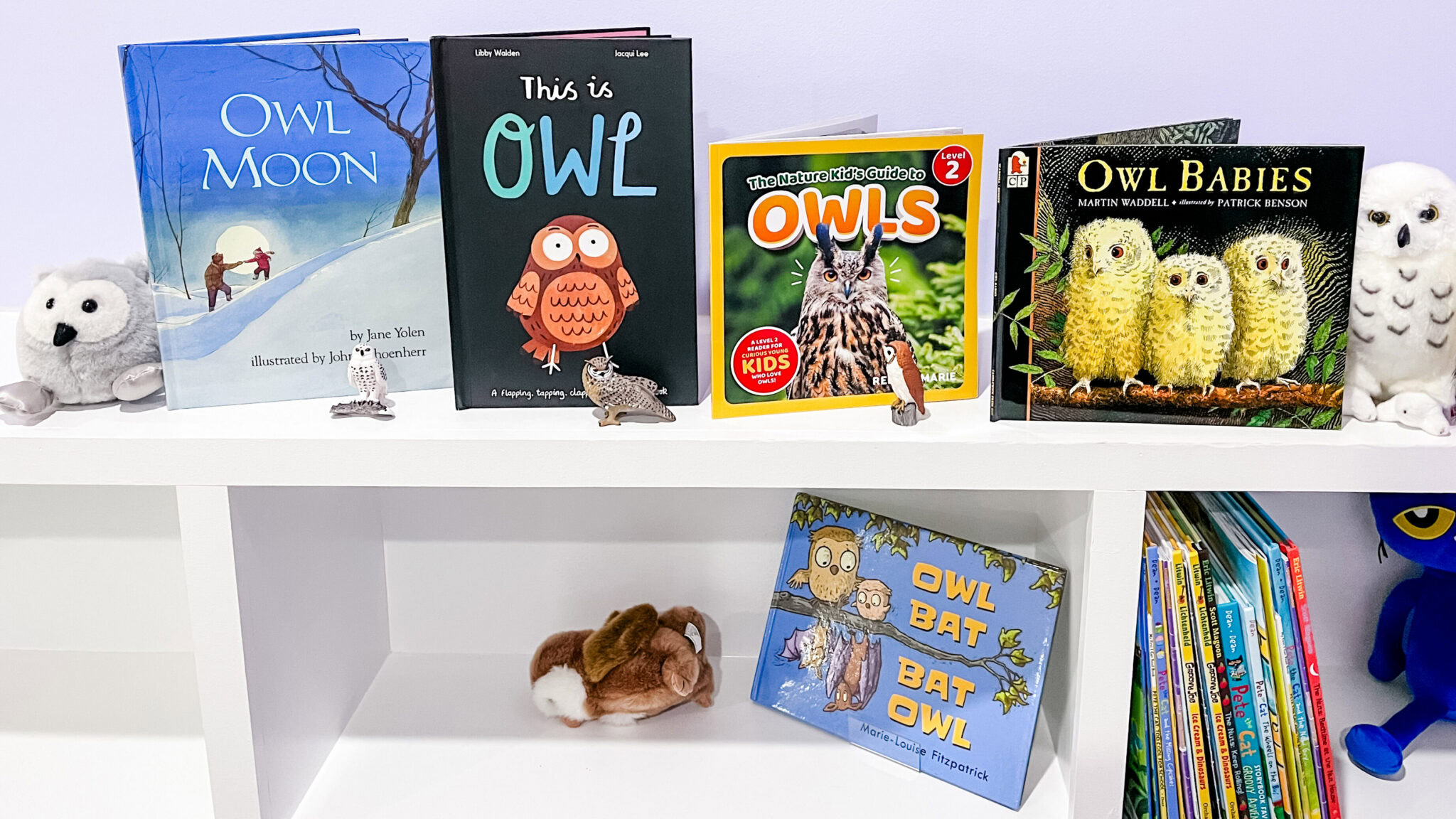 Preschool Owl Activities Students Will Love - Play to Learn Preschool
