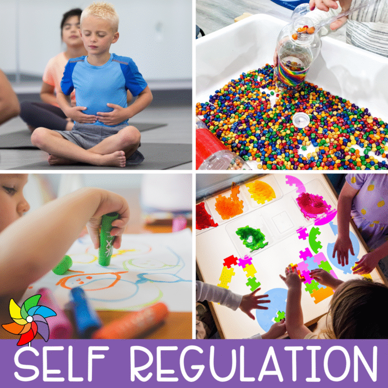 Self Regulation SQ - Play to Learn Preschool