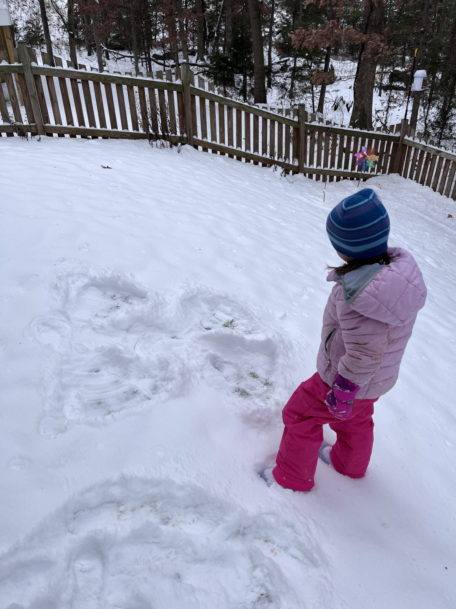 Winter Science Observations for Preschool - Play to Learn Preschool