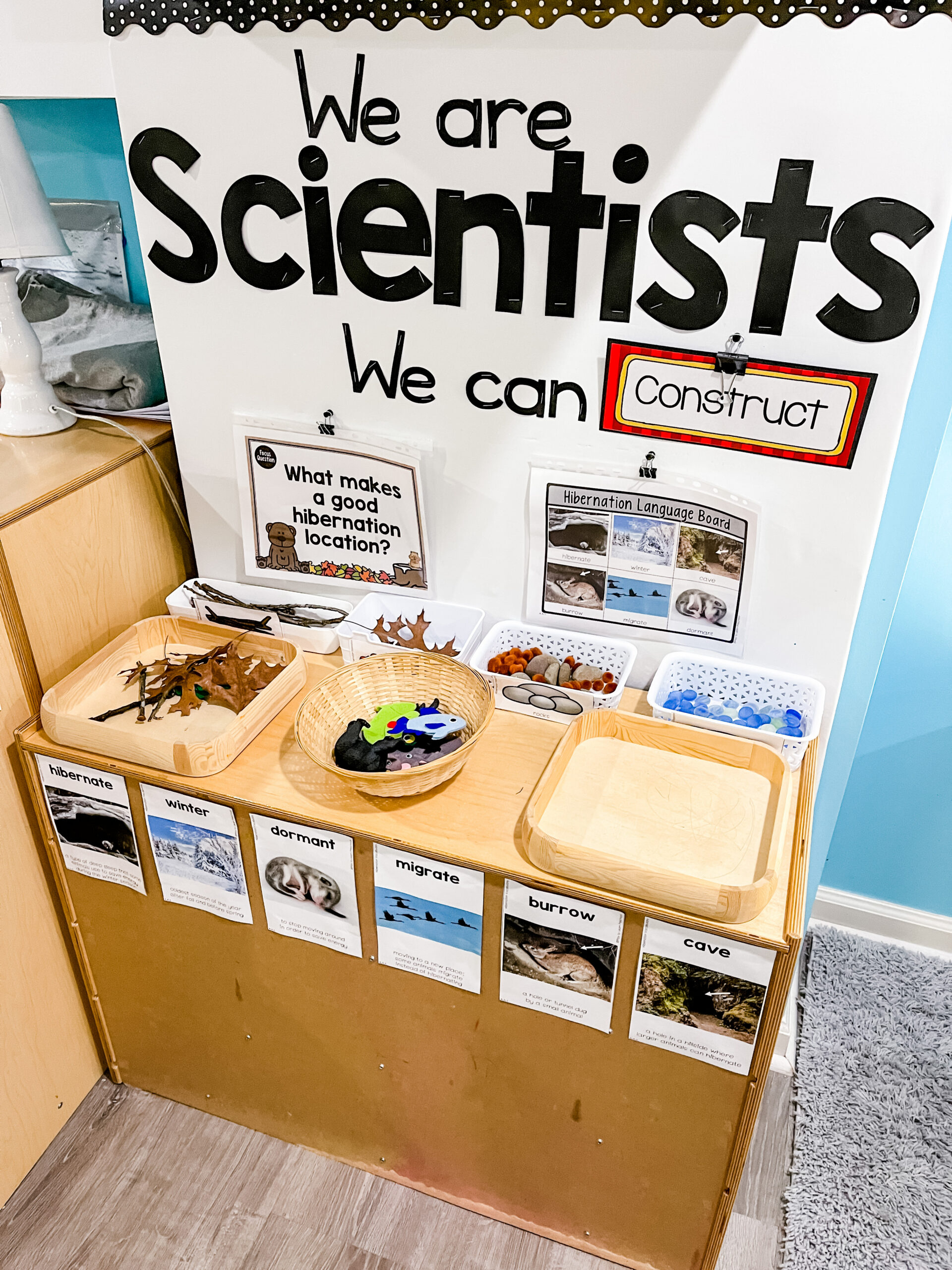 Hibernation Activities for Preschool Science - Play to Learn Preschool