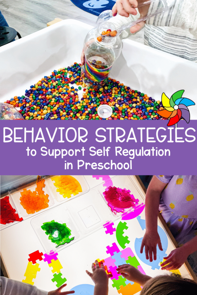Self Regulation PIN - Play to Learn Preschool
