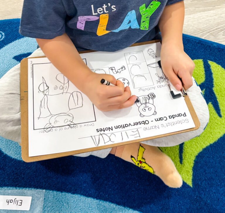 Preschool Bear Activities - Play to Learn Preschool