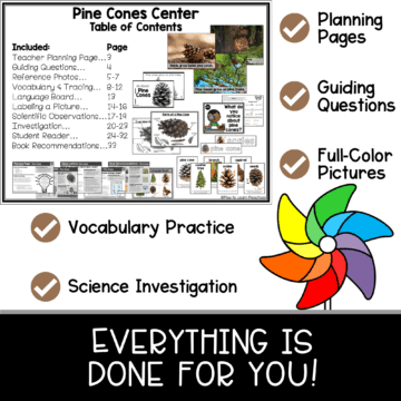 All About Pine Cones Preschool Science Center - Play to Learn Preschool