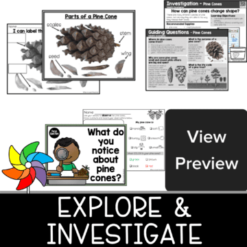 All About Pine Cones Preschool Science Center - Play to Learn Preschool