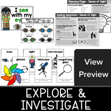Sense of Sight Preschool Science Center - Play to Learn Preschool