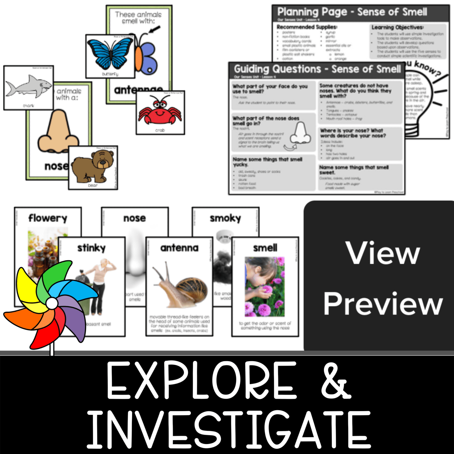 Sense of Smell Preschool Science Center - Play to Learn Preschool
