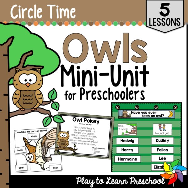 Owl Unit | Lesson Plans - Activities for Preschool Pre-K - Play to ...