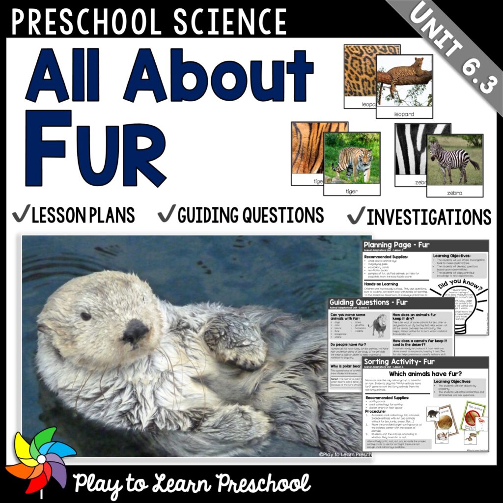 All About Fur Preschool Science Center - Play to Learn Preschool