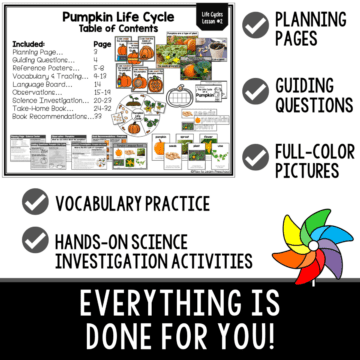 Pumpkin Life Cycle Science Center - Play to Learn Preschool