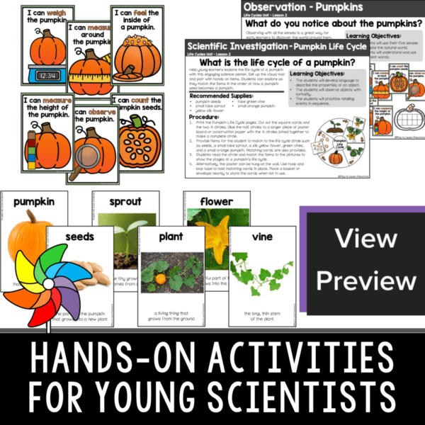 Pumpkin Life Cycle Science Center - Play to Learn Preschool
