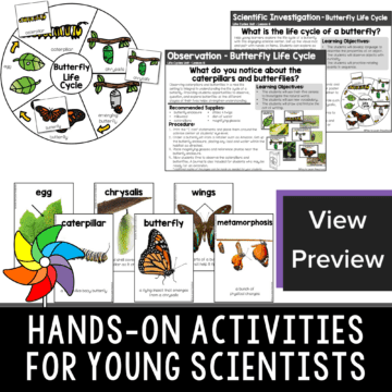 Butterfly Life Cycle Science Center - Play to Learn Preschool