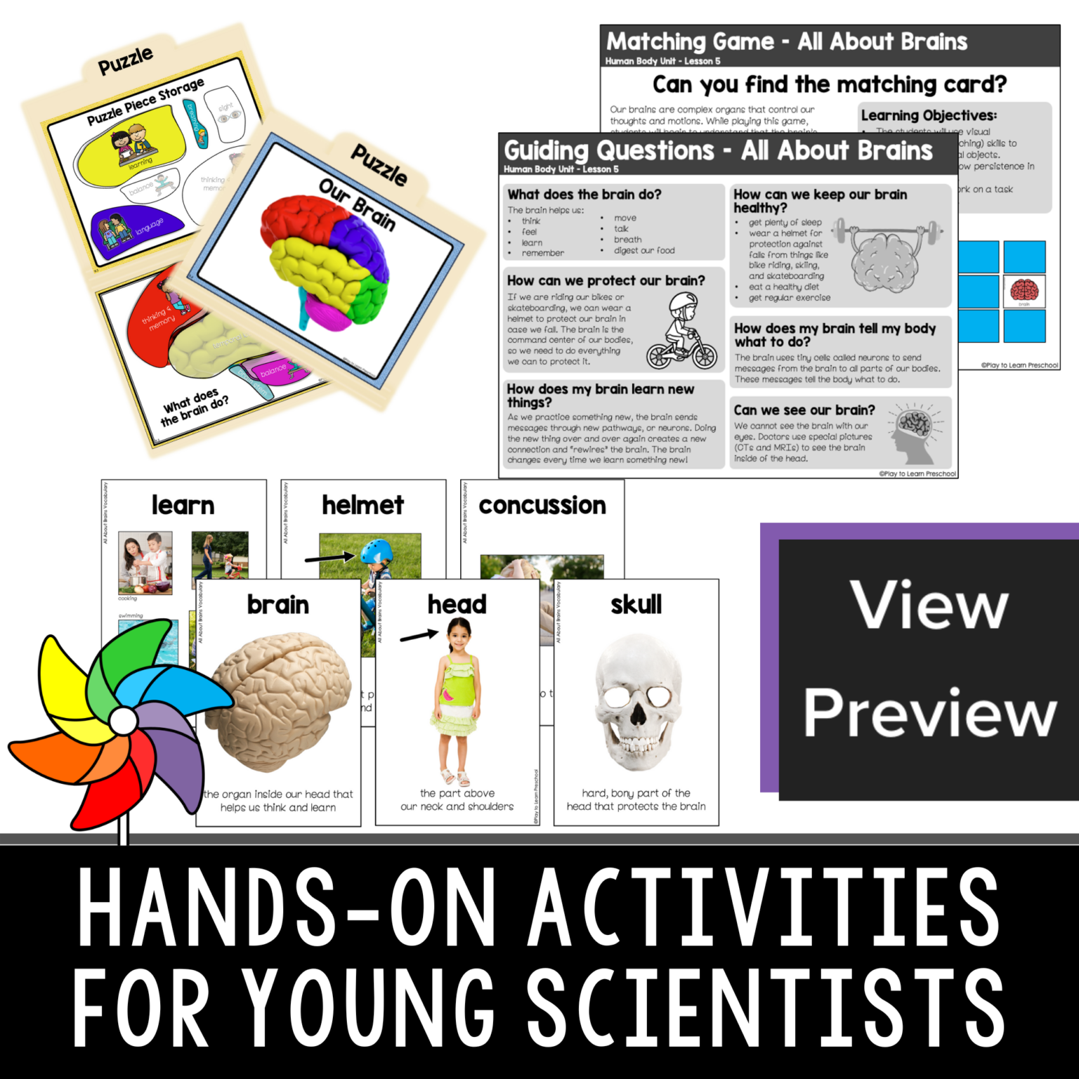 All About Brains - Preschool PreK Science Centers - Play to Learn Preschool