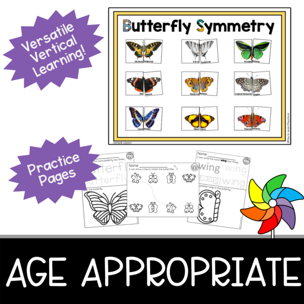 Butterfly Symmetry Bulletin Board - Play to Learn Preschool