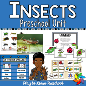 Hands-On Insect Activities for Preschoolers: Learning Through Play ...